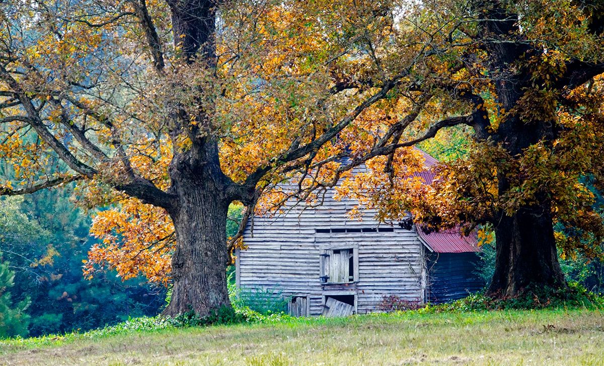 The Backroads Studio